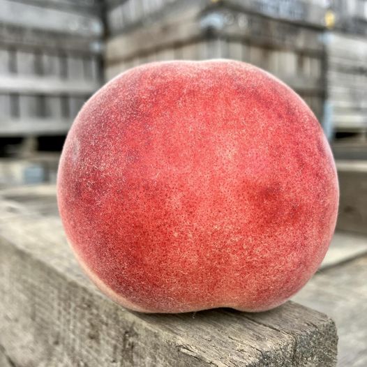 What's Ripe - Rittman Orchards